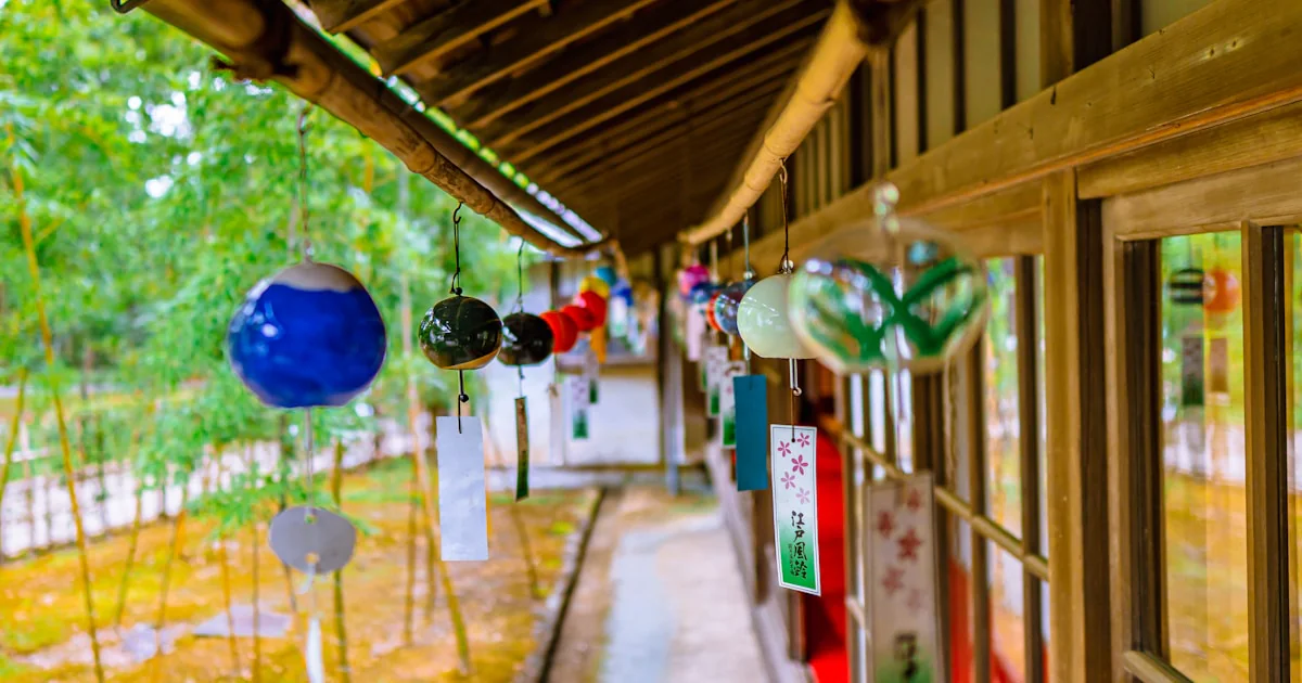 Sustainable Party Checklist: 9 Must-Do Steps for an Epic Eco Bash (2025 ...